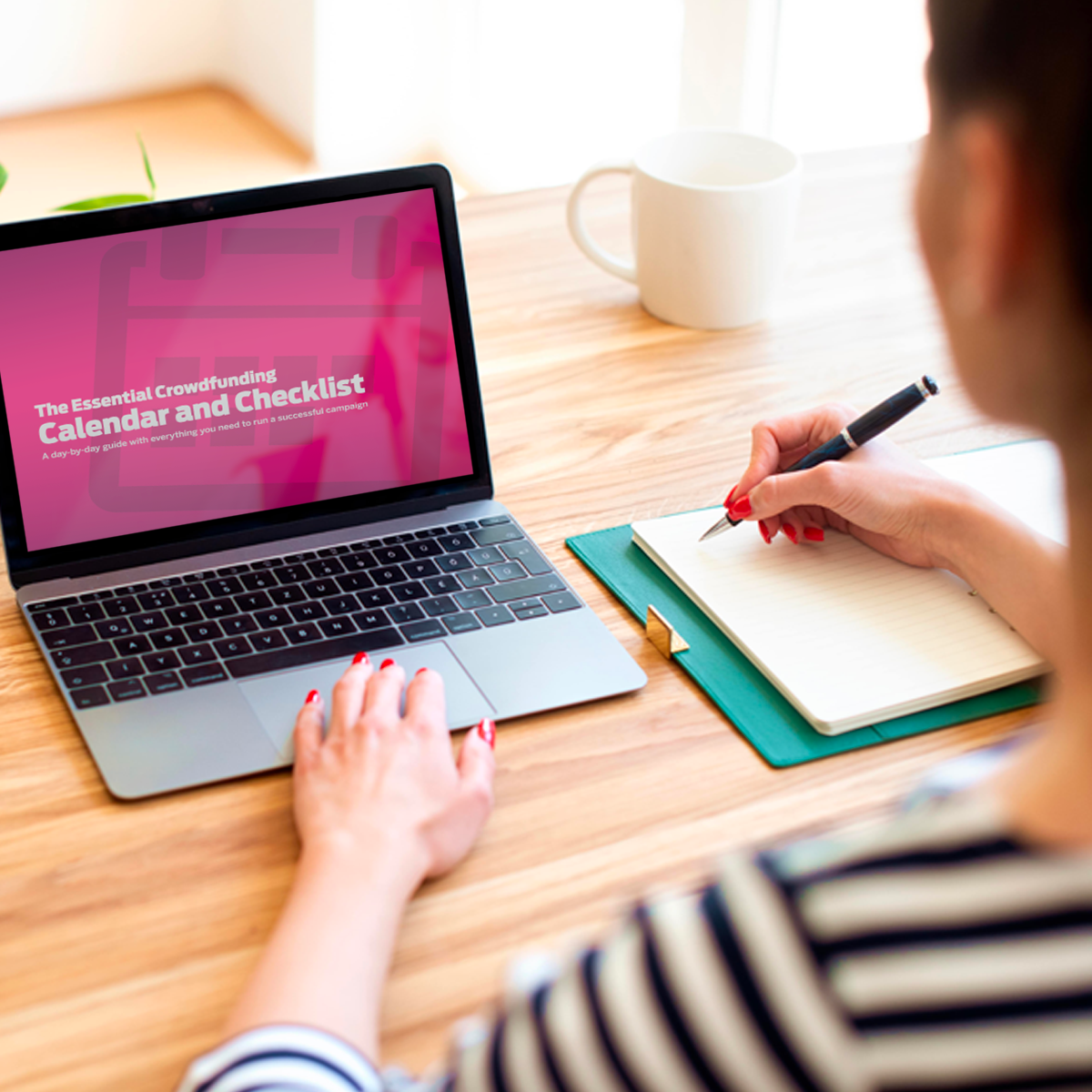 Plus - Indiegogo Education Center